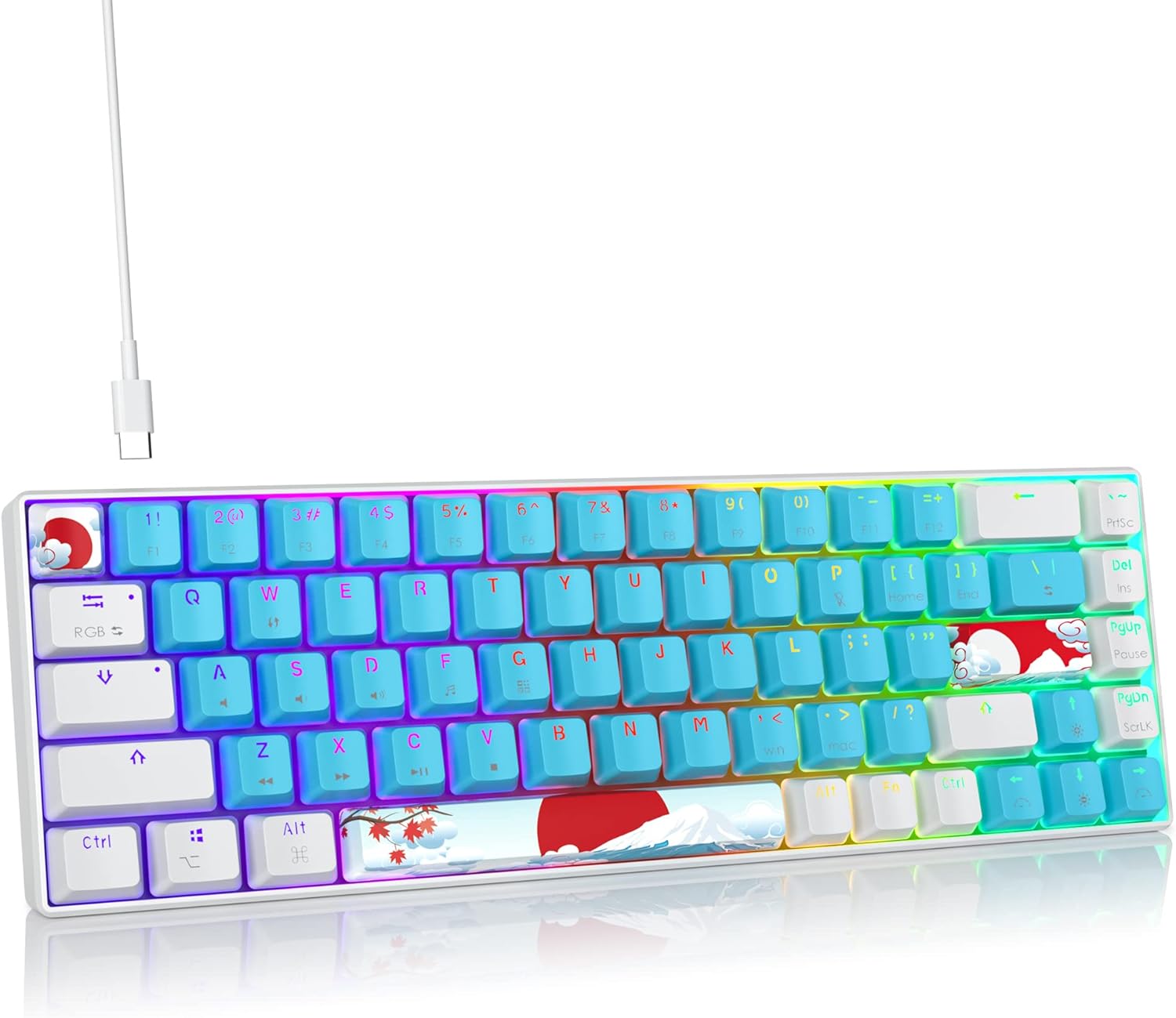 SOLIDEE mechanische Gaming Tastatur 65 Prozent,68 Tasten kompakte ...