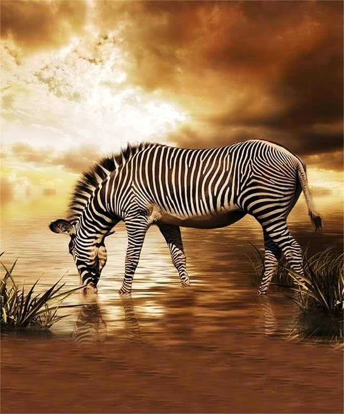 Amazon.com: Muyankissu DIY 5D Diamond Art Full Drill Kit African Animal ...