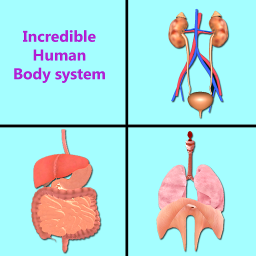 Incredible human body system - App on the Amazon Appstore