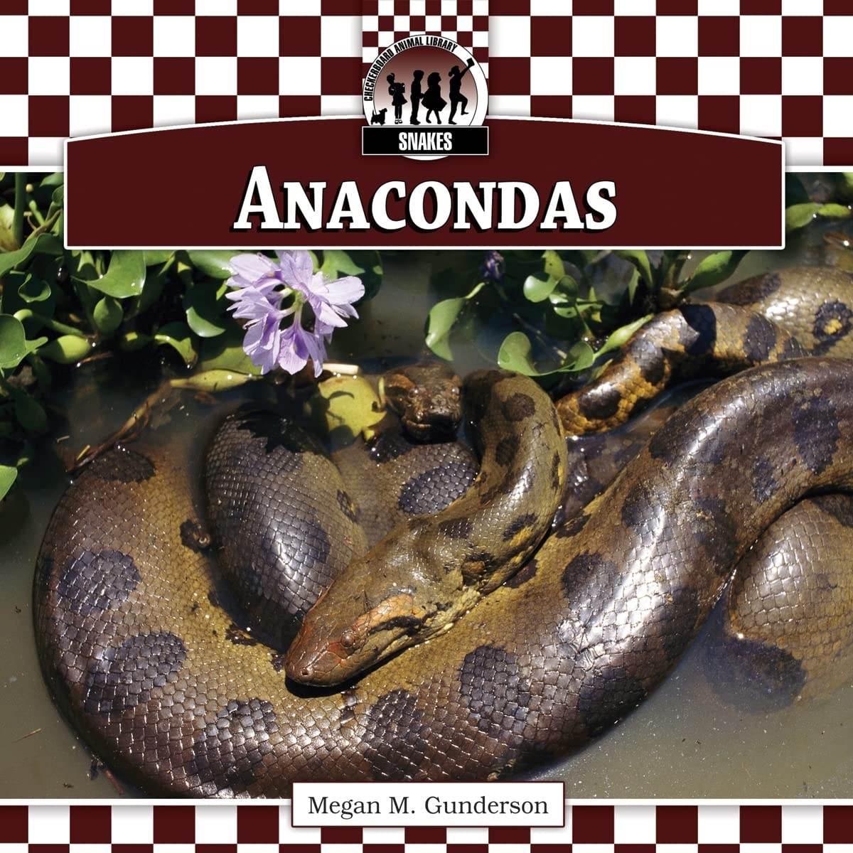 Anacondas (Snakes): Gunderson, Megan M.: 9781616134327: Amazon.com: Books