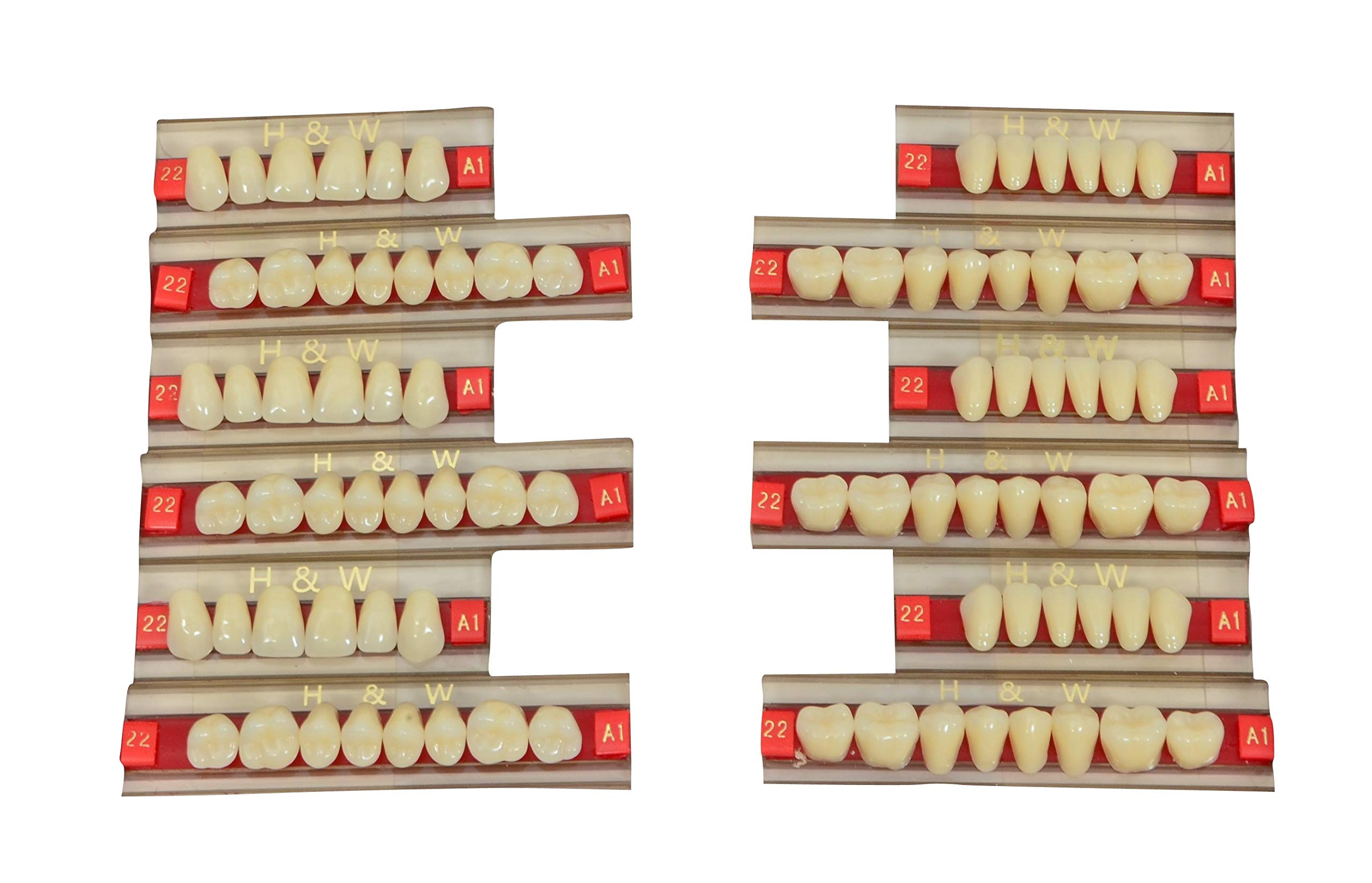 Double Set Of Teeth Waldent PMT Set Instrument Kit (Double Ended)