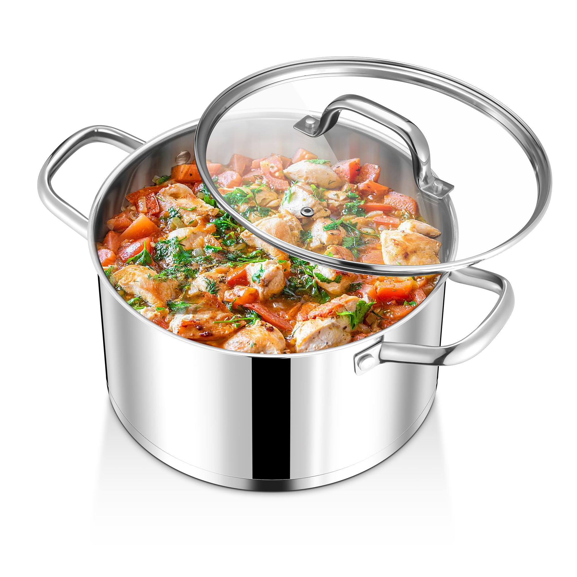 Joyfair Cooking Pot, 24 cm Stainless Steel Soup Pot with Glass Lid, 3 ...