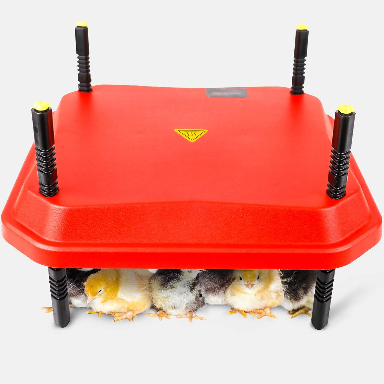 Amazon.com: HOWUXZO Brooder Heater for Chicks 13.8" x 13.8" Adjustable ...