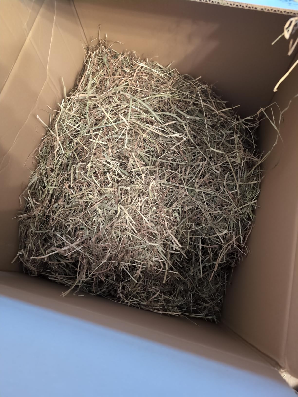 Little Hay Co Pure Timothy Hay | Eco Box | Clean, Green, Fresh ...