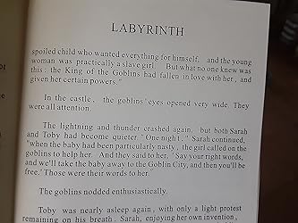 Amazon.com: The Labyrinth RED Book Sarah's Full Novel Replica Fan Made ...