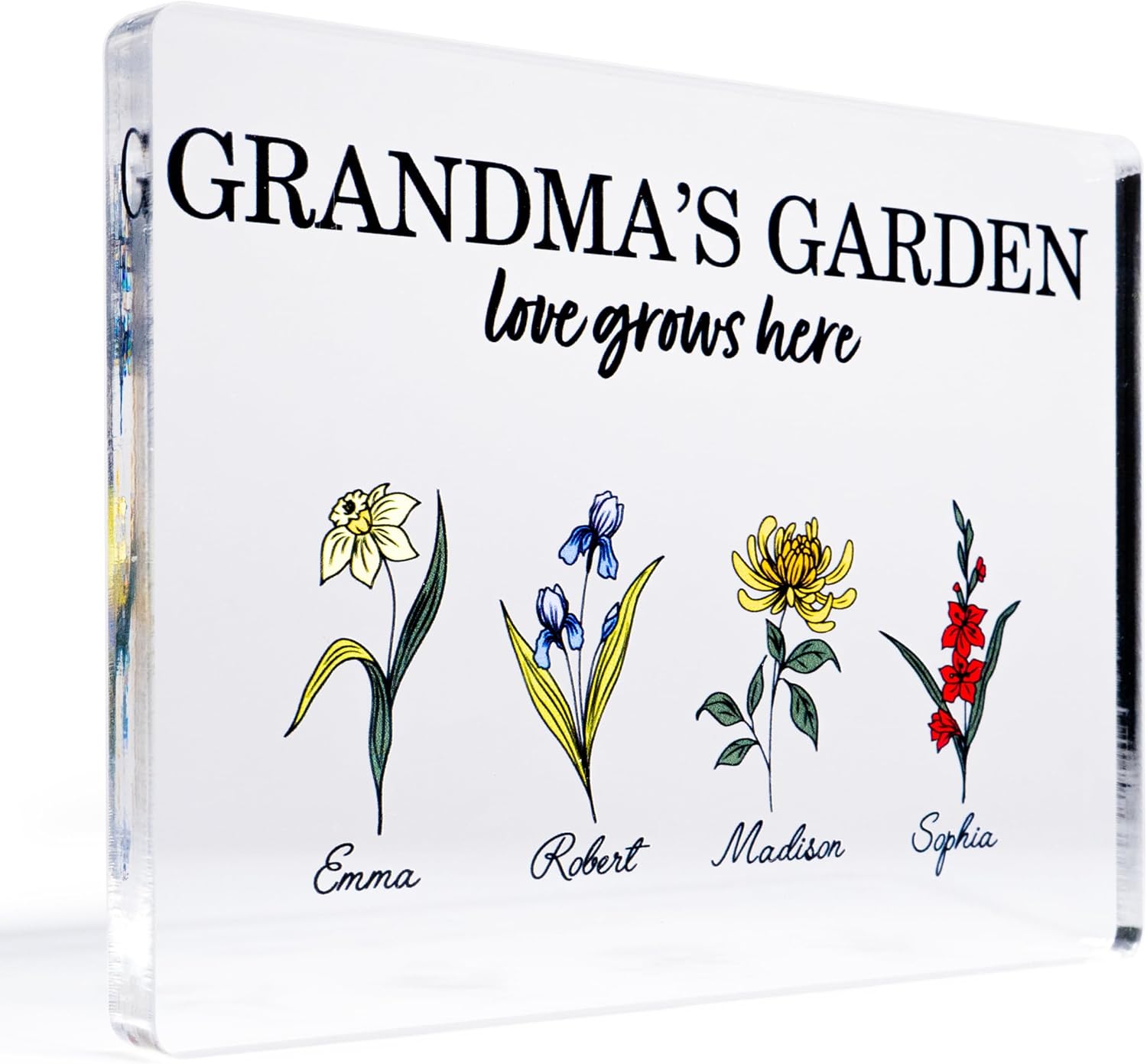 Amazon.com: Personalized Grandma's Garden Acrylic Sign with Birth ...