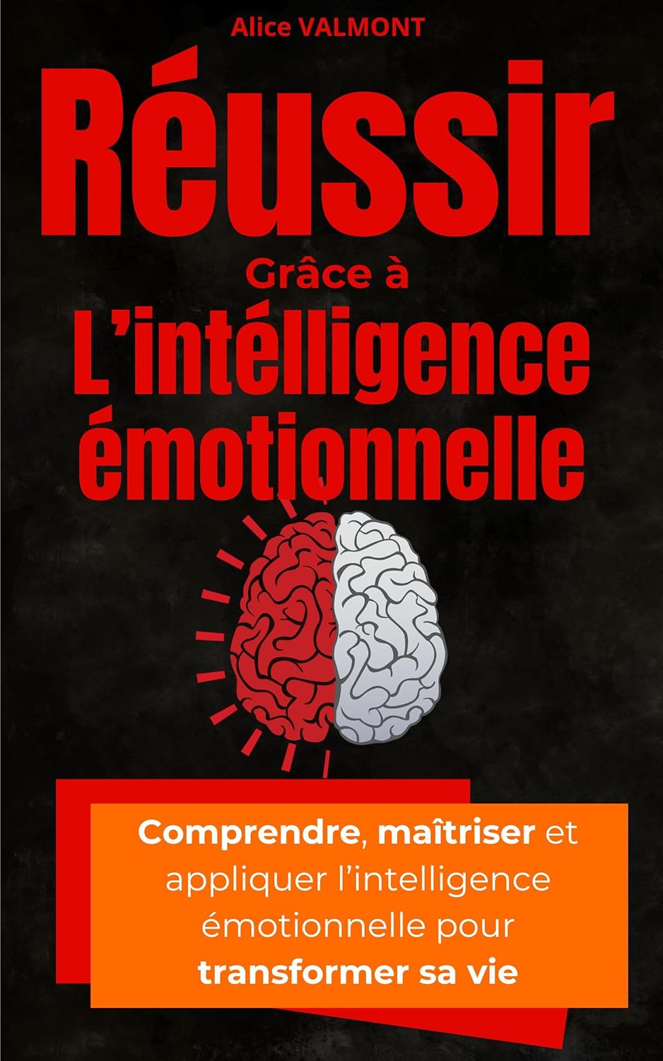 Réussir Grâce à l’Intelligence Émotionnelle: Comprendre, maîtriser et ...
