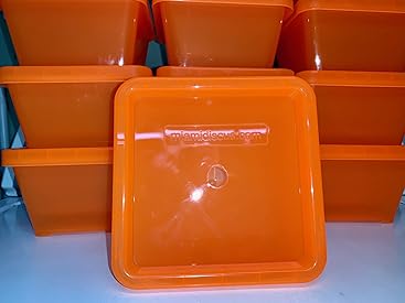 2022 Live Blackworms Box Keeper Wormbox Stackables Discus Altums ...