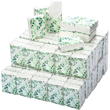 Amazon.com: 100 Pcs Travel Tissue Packs Small Personal Facial Tissues ...