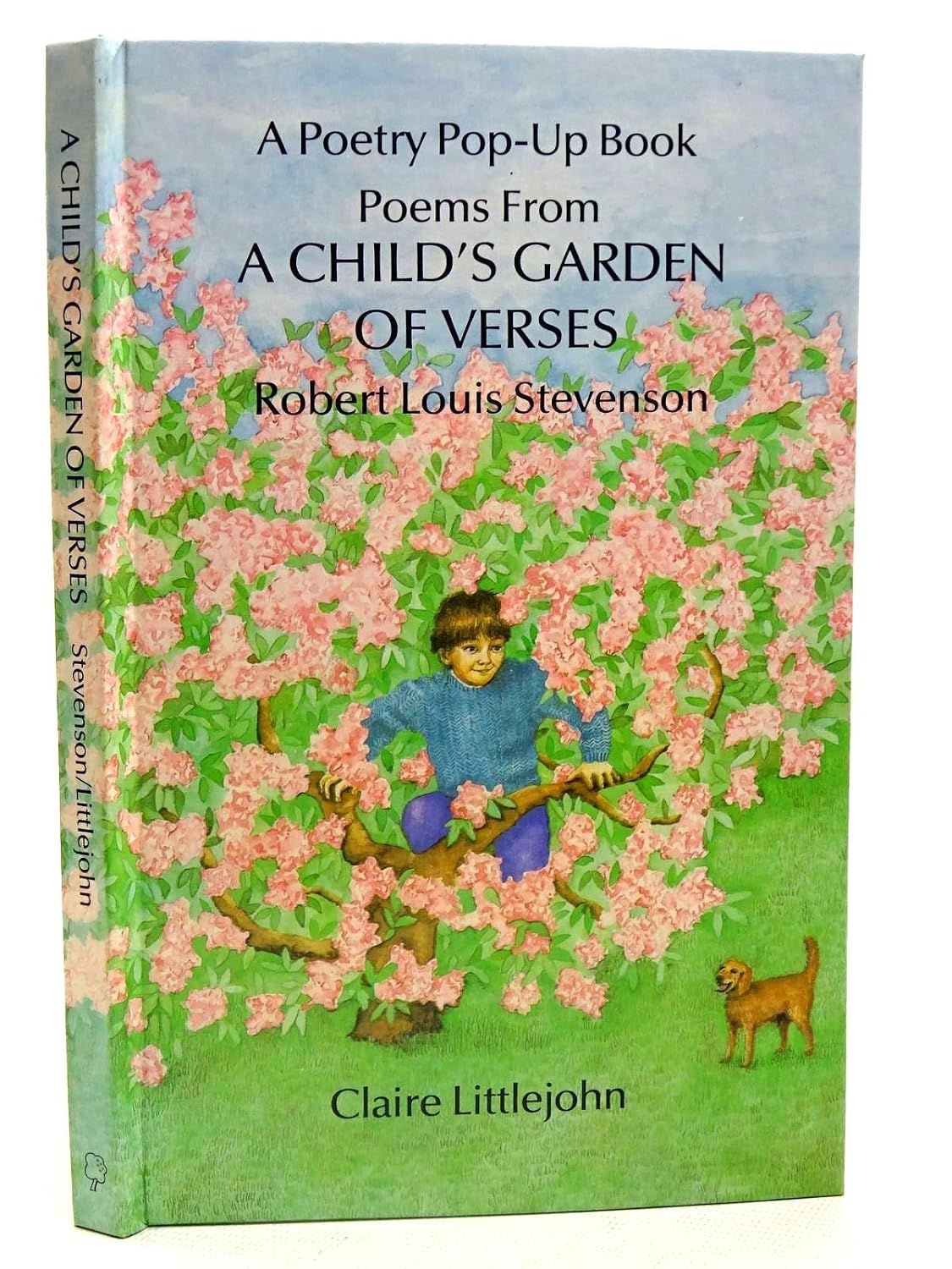 Amazon | Selection: Pop-up Books (A Poetry pop-up book) | Stevenson ...