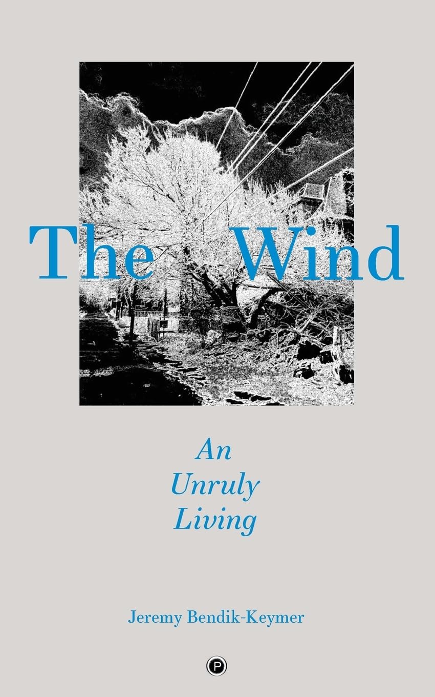 The Wind: An Unruly Living: Bendik-Keymer, Jeremy: 9781947447950 ...