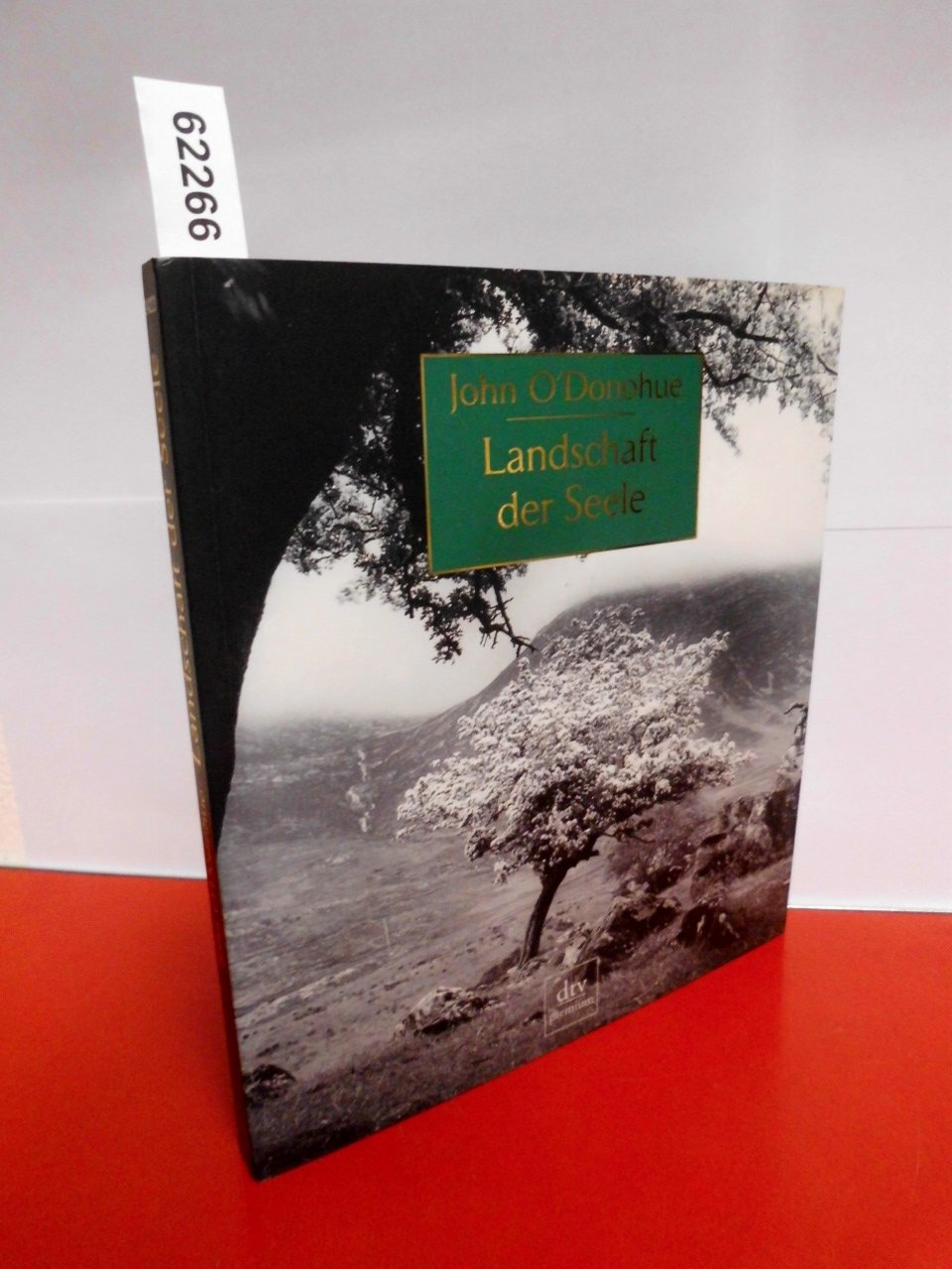 Landschaft der Seele : John O'Donohue, Fergus Bourke: Amazon.de: Bücher