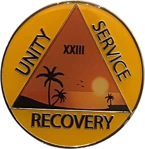 Amazon.com : 23 Year AA, Alcoholics Anonymous- The Sunset Beach ...