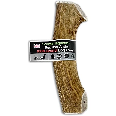 Ace Antlers Deer Antlers for Dogs (XL 150-200g Piece) - Natural Dog ...