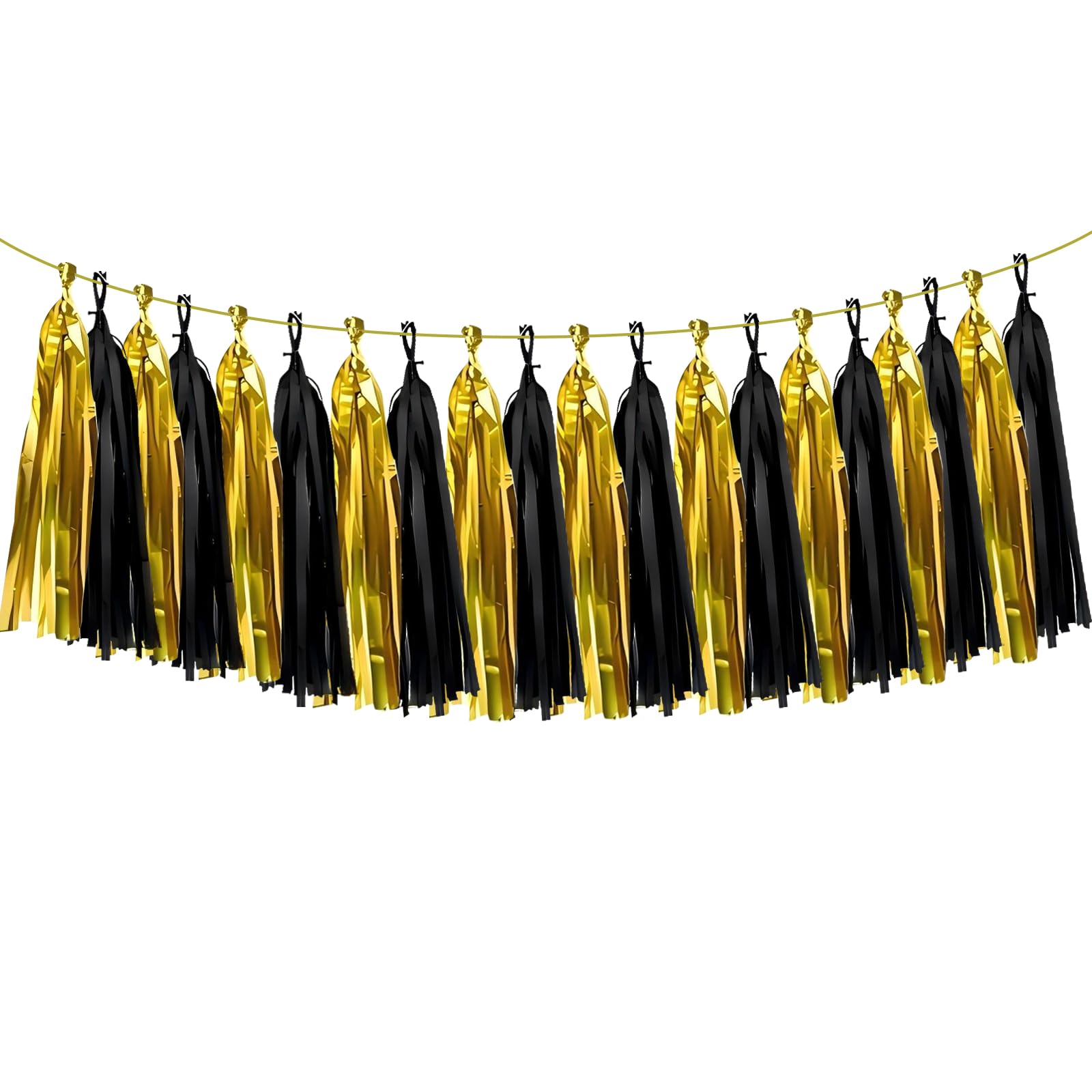 Amazon.com: ZOOYOO Shiny Tassel Garland Tissue Paper Tassel Banner ...