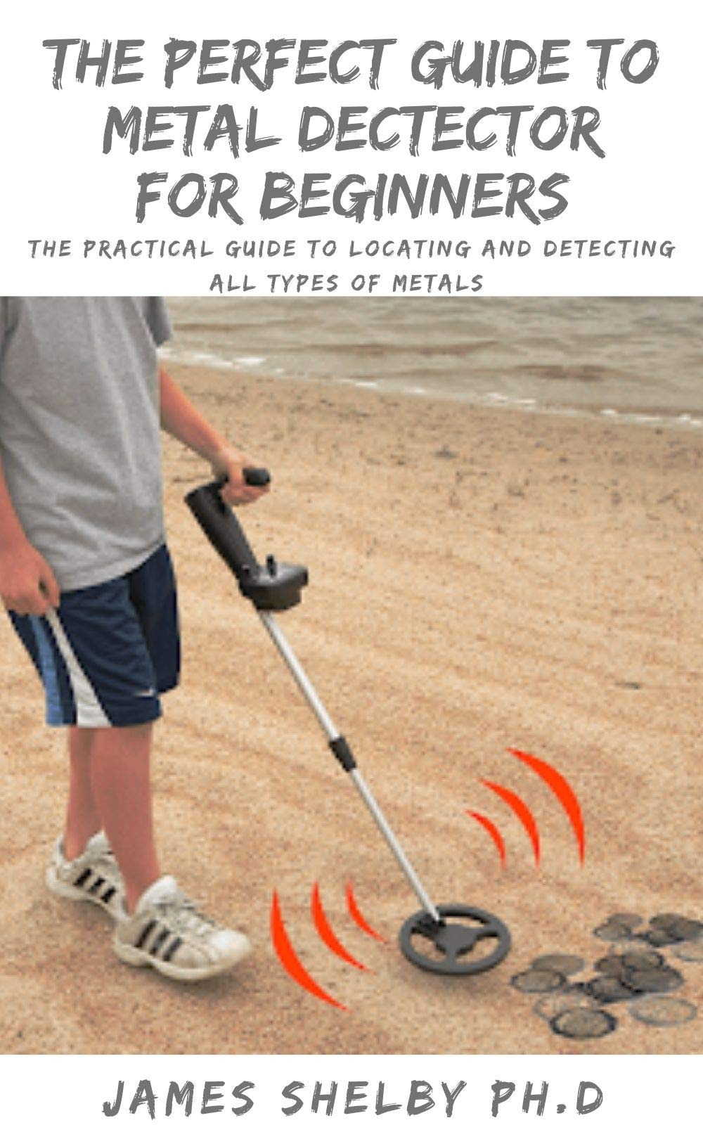 Buy THE PERFECT GUIDE TO METAL DECTECTOR FOR BEGINNERS: The Practical ...