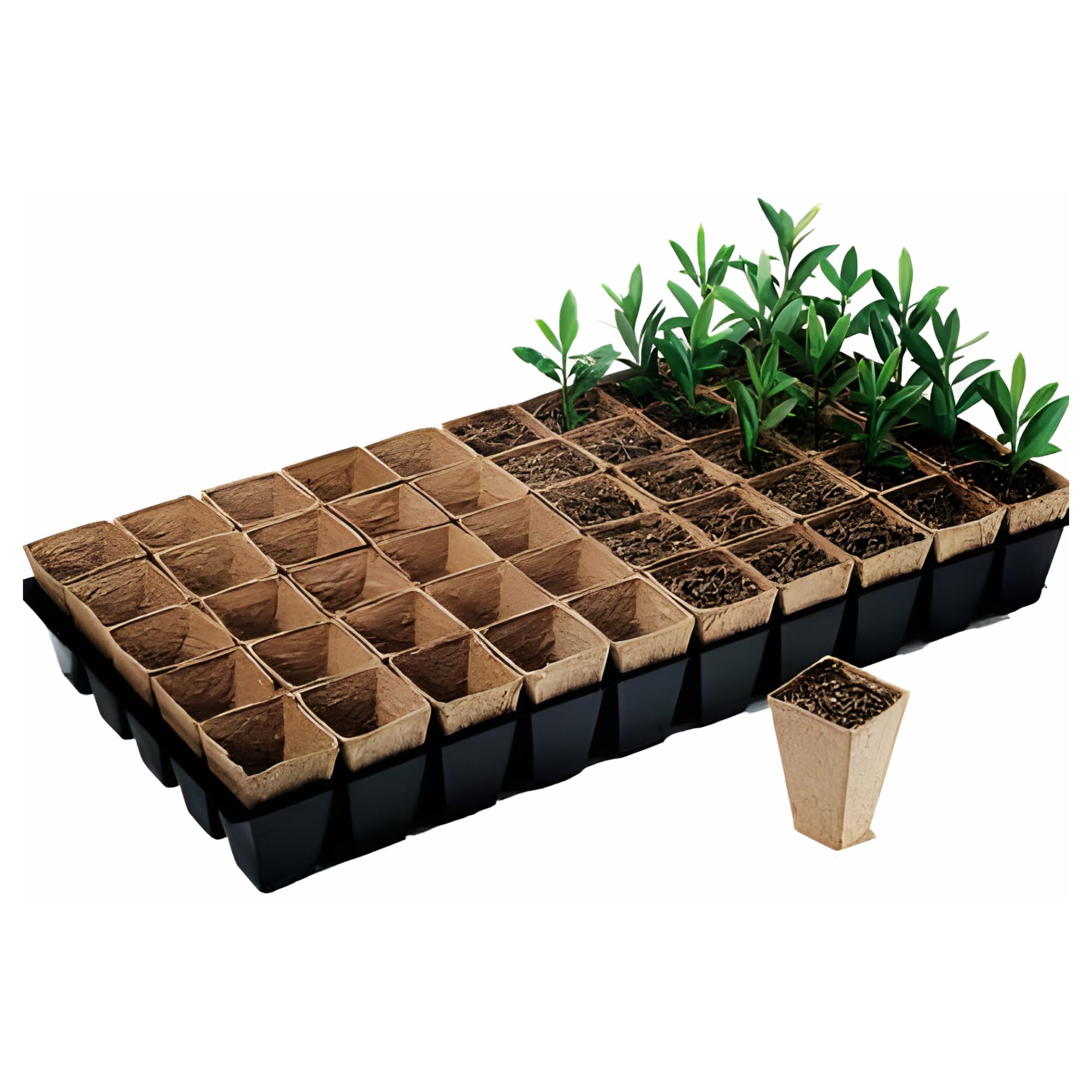 Snapklik.com : Jiffy - Peat Pots - Square Plant Seedling Starters Kit ...