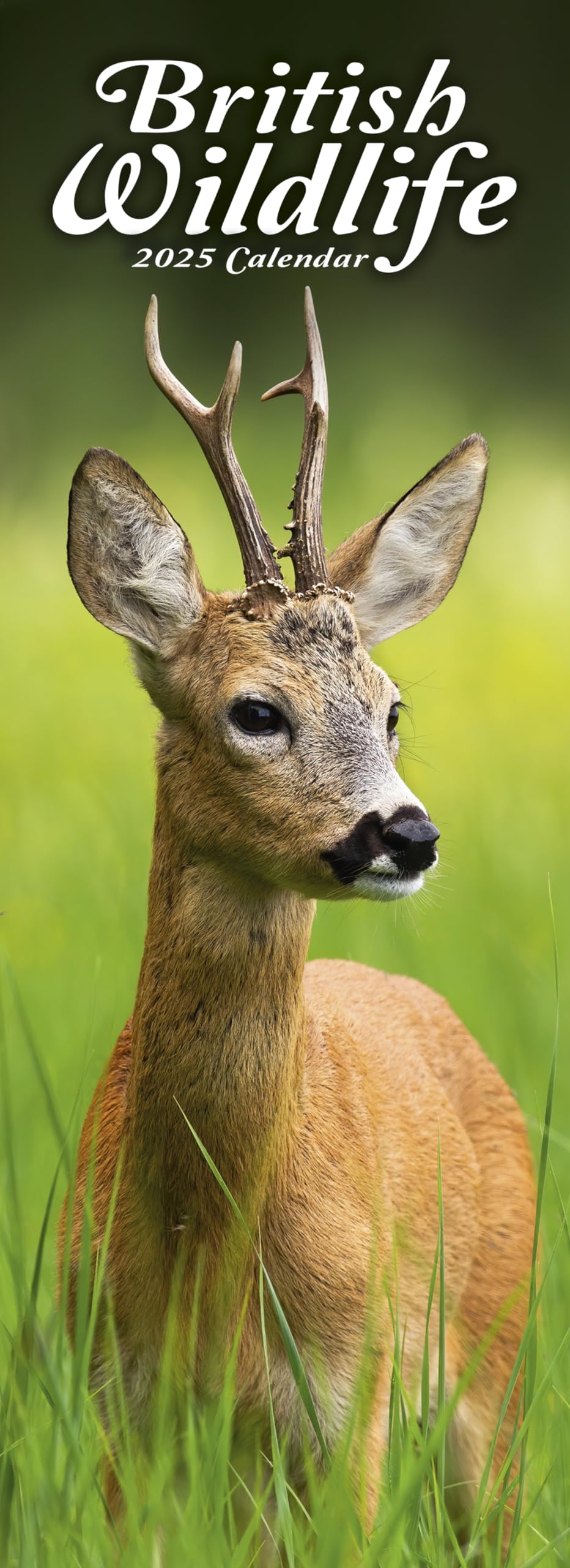 British Wildlife 2025 Slimline Wall Calendar | Wildlife, Nature ...