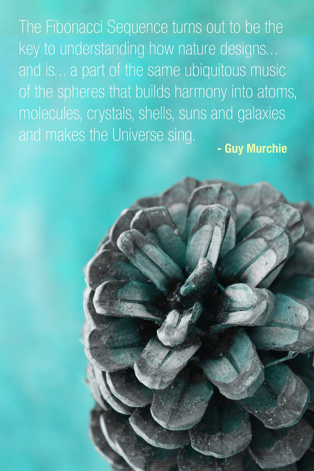 Fibonacci Quotes Science Mathematics Fibonacci Spiral & Aristotle