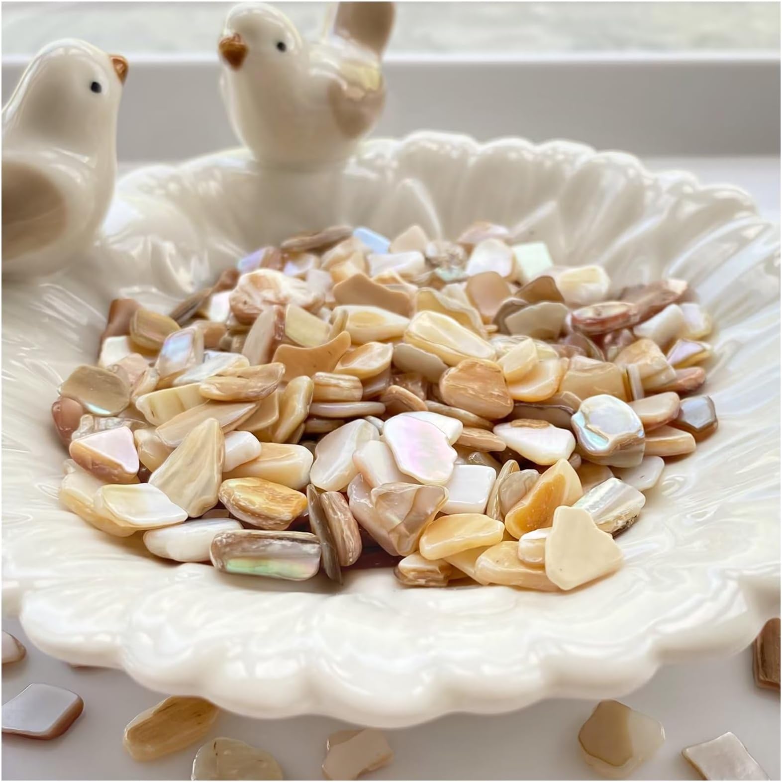 Amazon.com: LYFJXX Crushed Shells for Crafts, Sea Shells for Kids DIY ...