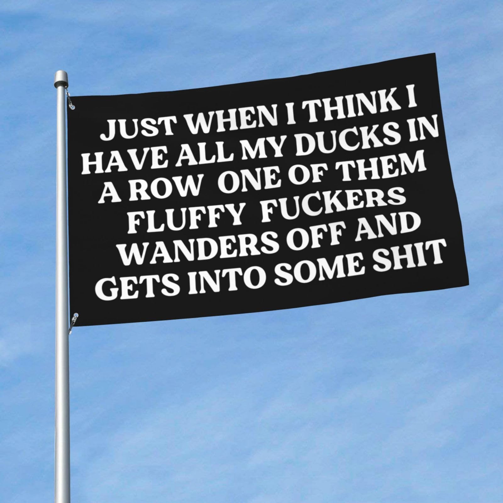 Snapklik.com : Ducks In A Row Work From Home Flag 3x5 Ft Motivational ...