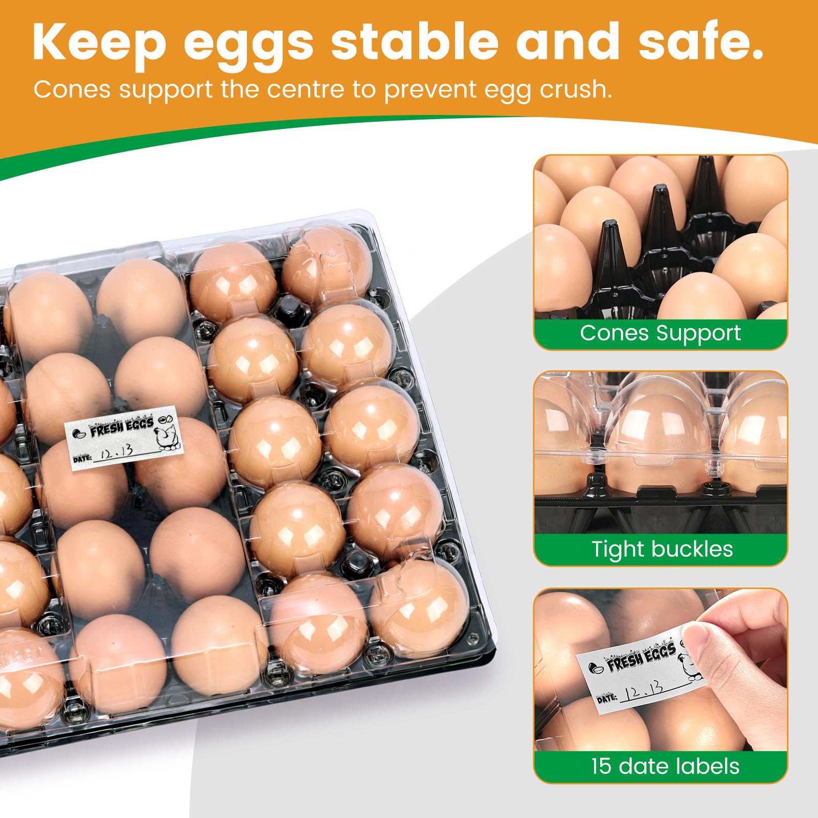 Snapklik.com : Clear Egg Cartons, 30 Count Medium Empty Egg Carton ...