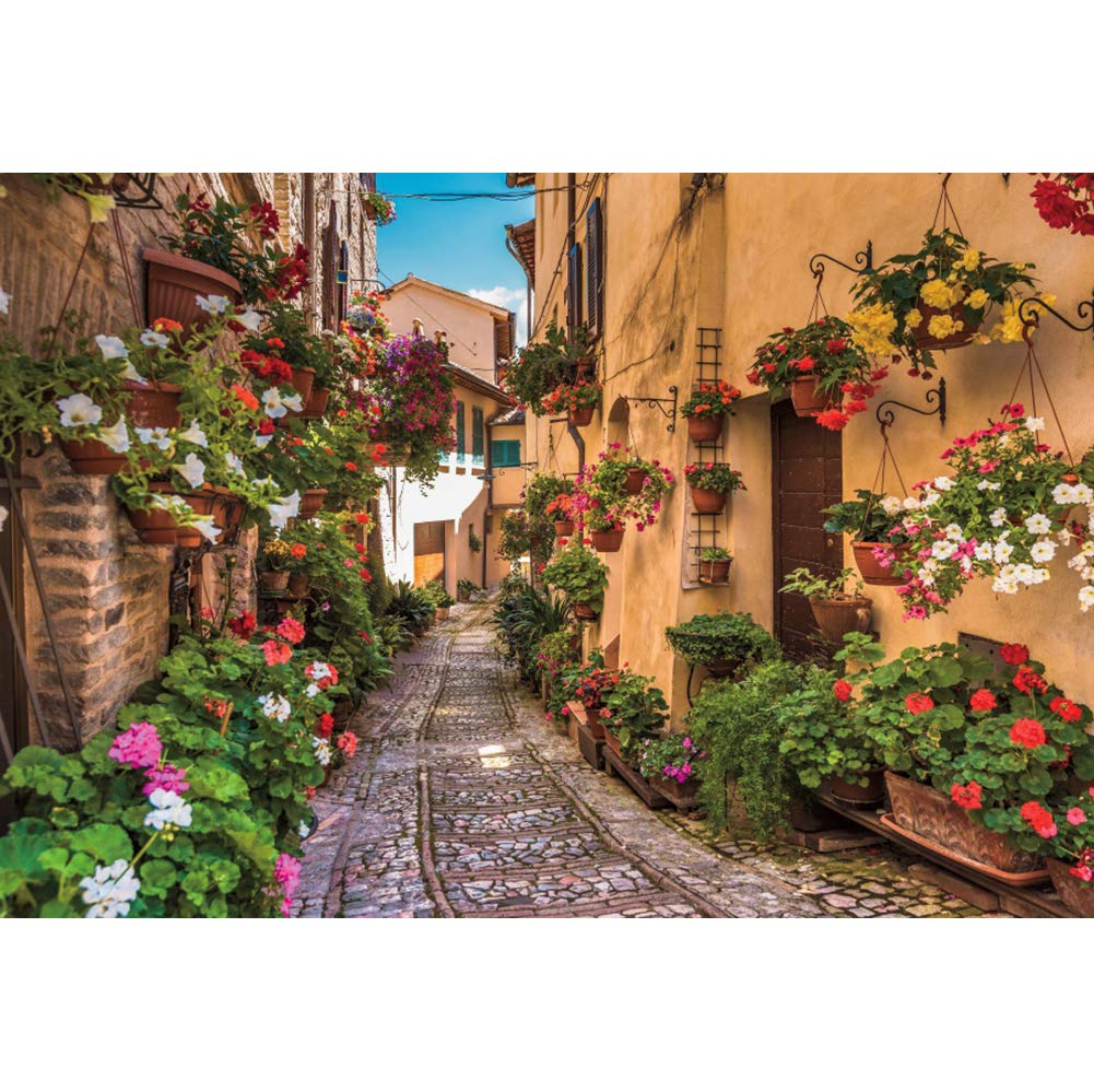 Italian Alley Wallpapers Pictures Italian Street Scene With Brown Door