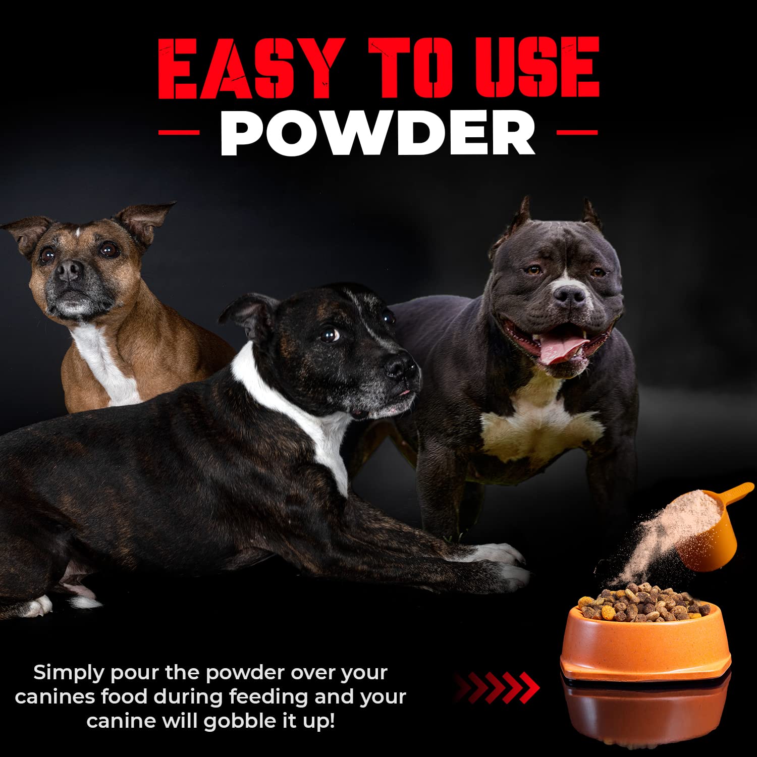 Pitbull Protein | atelier-yuwa.ciao.jp