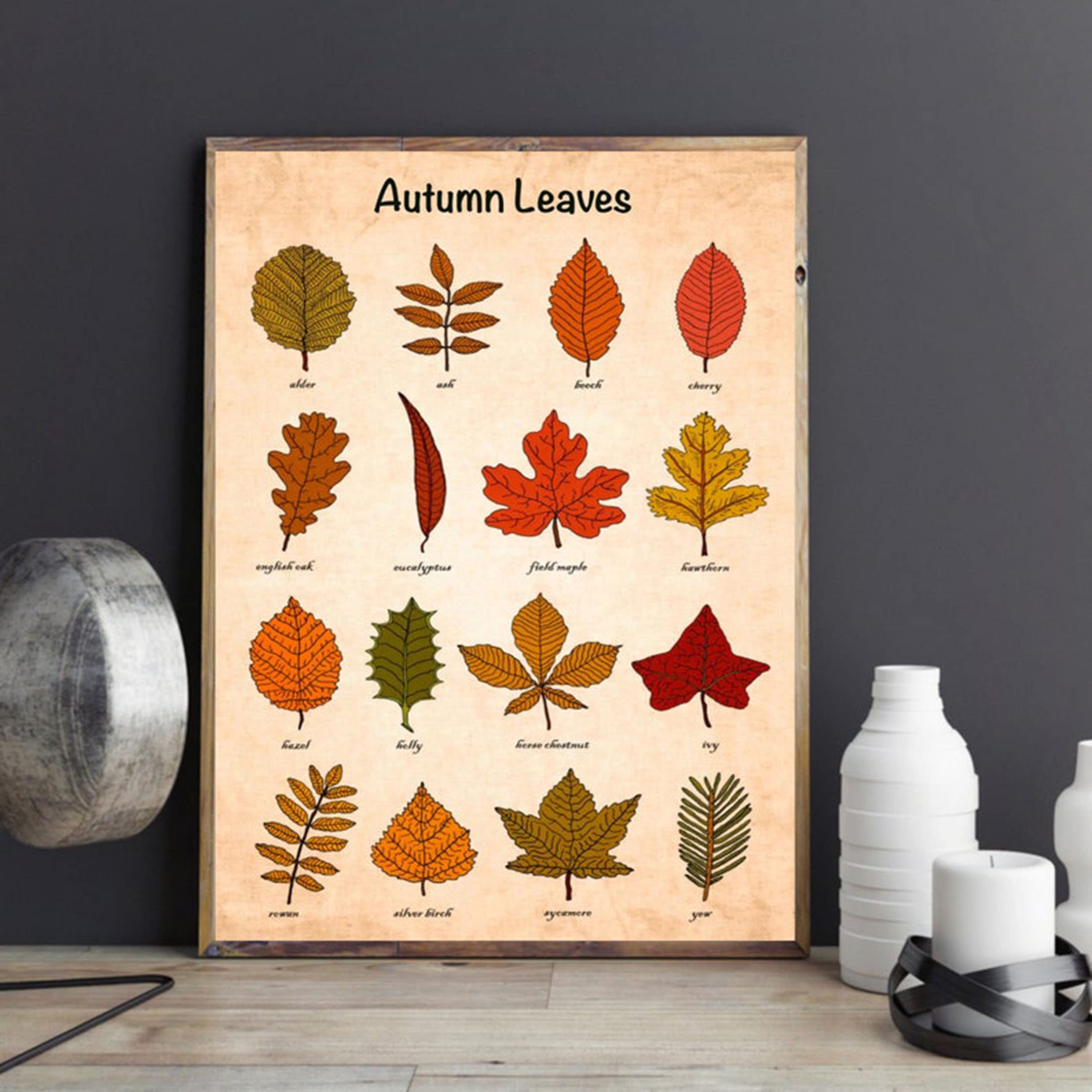 Buy Autumn Leaves , Autumn Leaves knowledge , Leaf Identification Chart ...