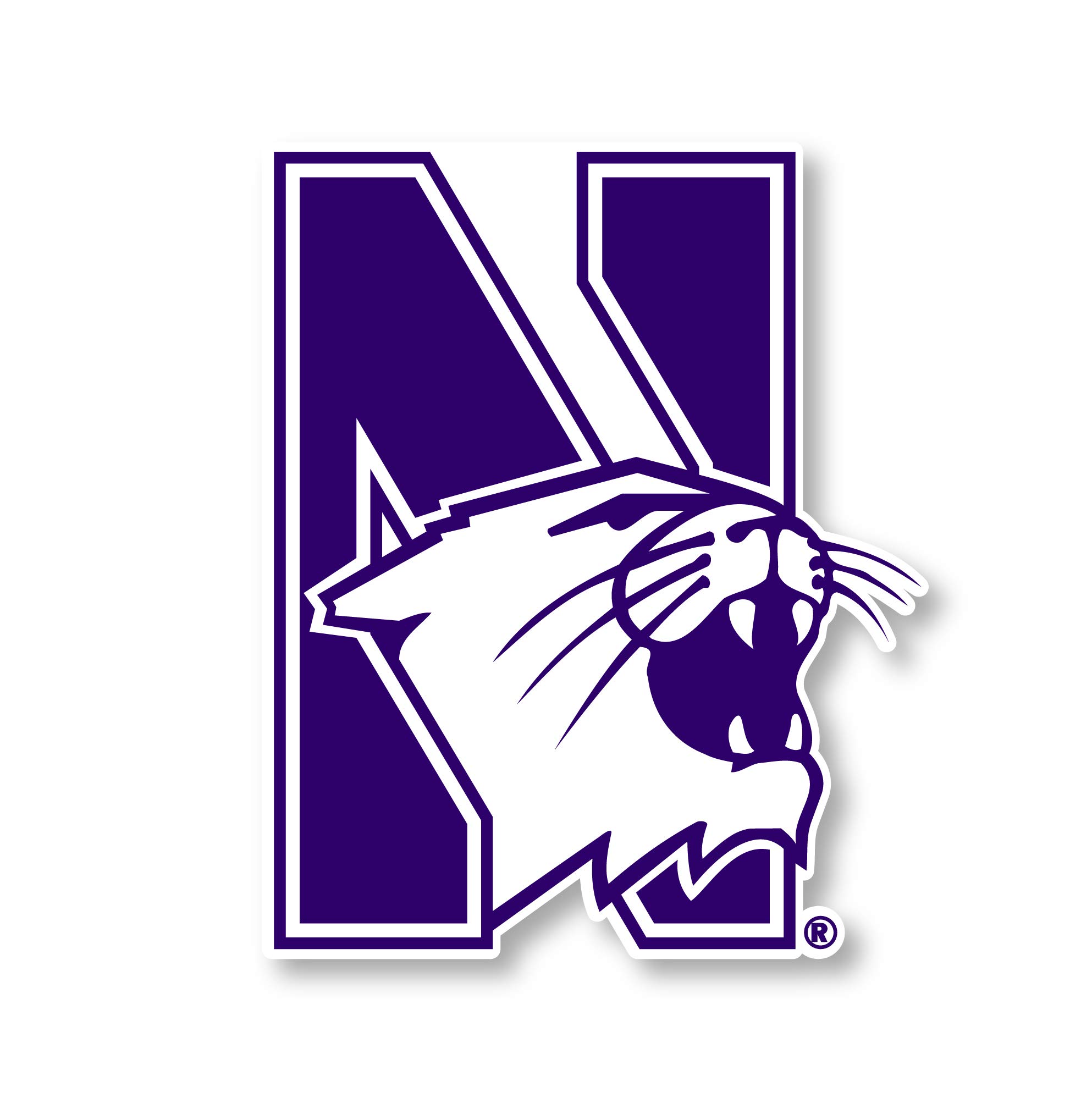 Northwestern University Mascot