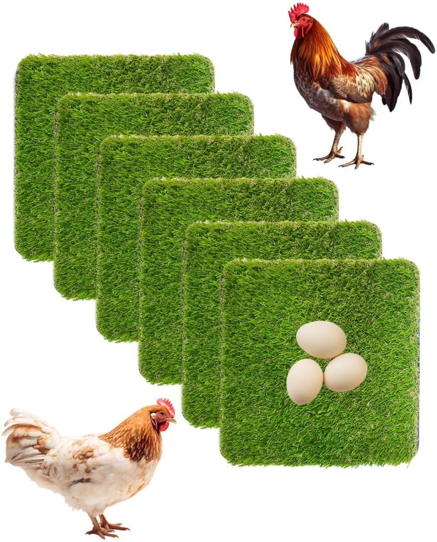 Amazon.com : Cackle Hatchery Laying Hen Nest Box Turf - Easy to Clean & Lasts for Years in ...