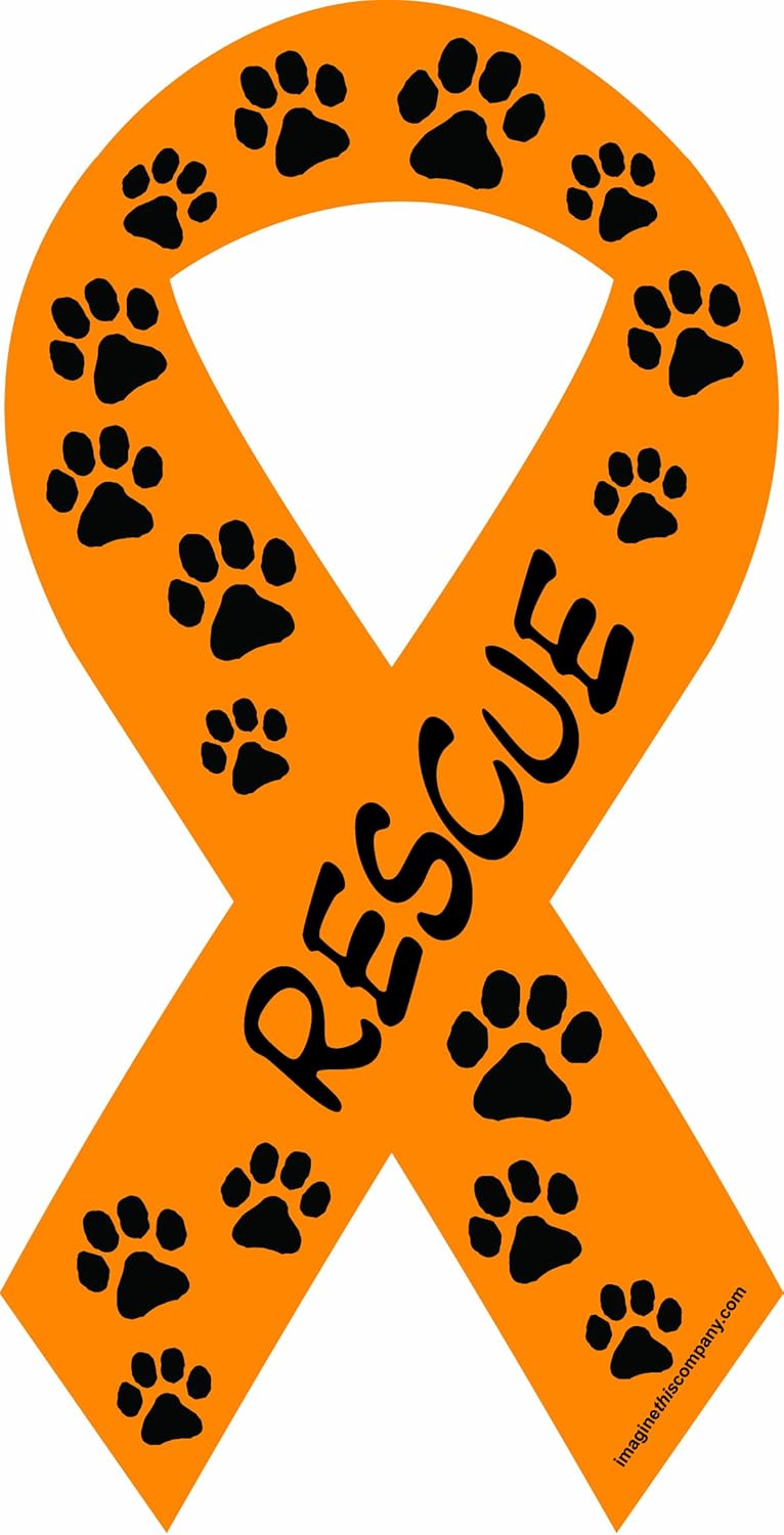 Amazon.com : Imagine This 8-Inch by 4-Inch Car Magnet Social Issues ...