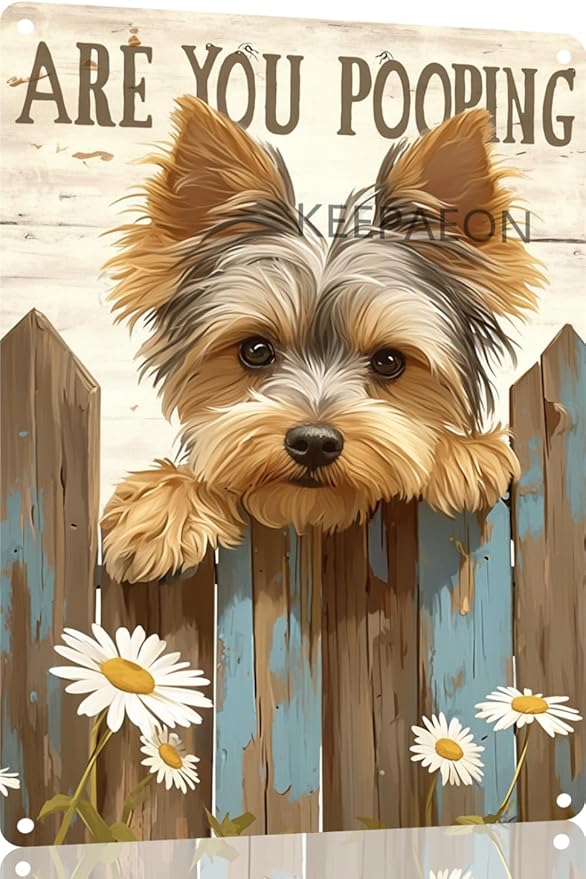 Amazon.com: KEEPAEON Are You Pooping Yorkie Vintage Metal Wall Art ...