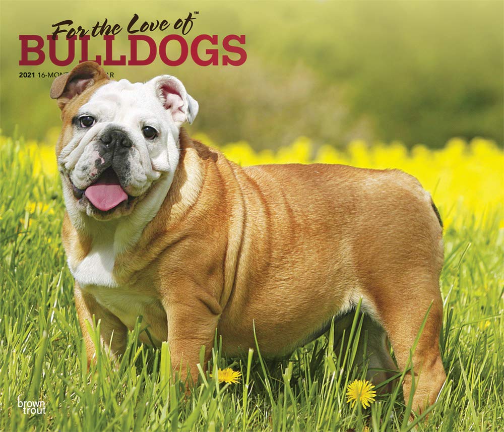Amazon.com: For the Love of Bulldogs 2021 14 x 12 Inch Monthly Deluxe ...