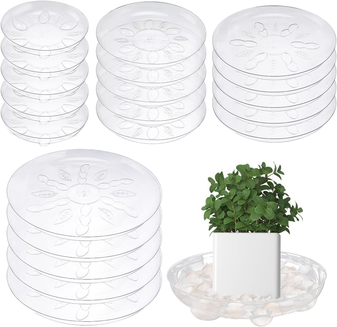 Amazon.com : 20 pcs Heavy-Duty Plant Saucers with Feet, 6in/8in/10in ...