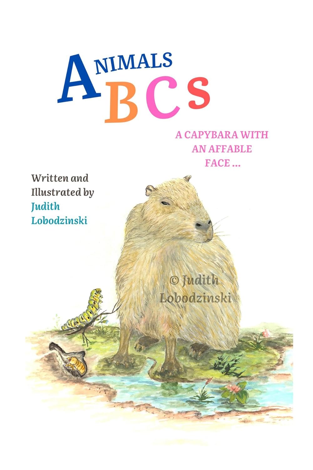 Animals ABCs, A Capybara with an affable face: a unique creature for ...