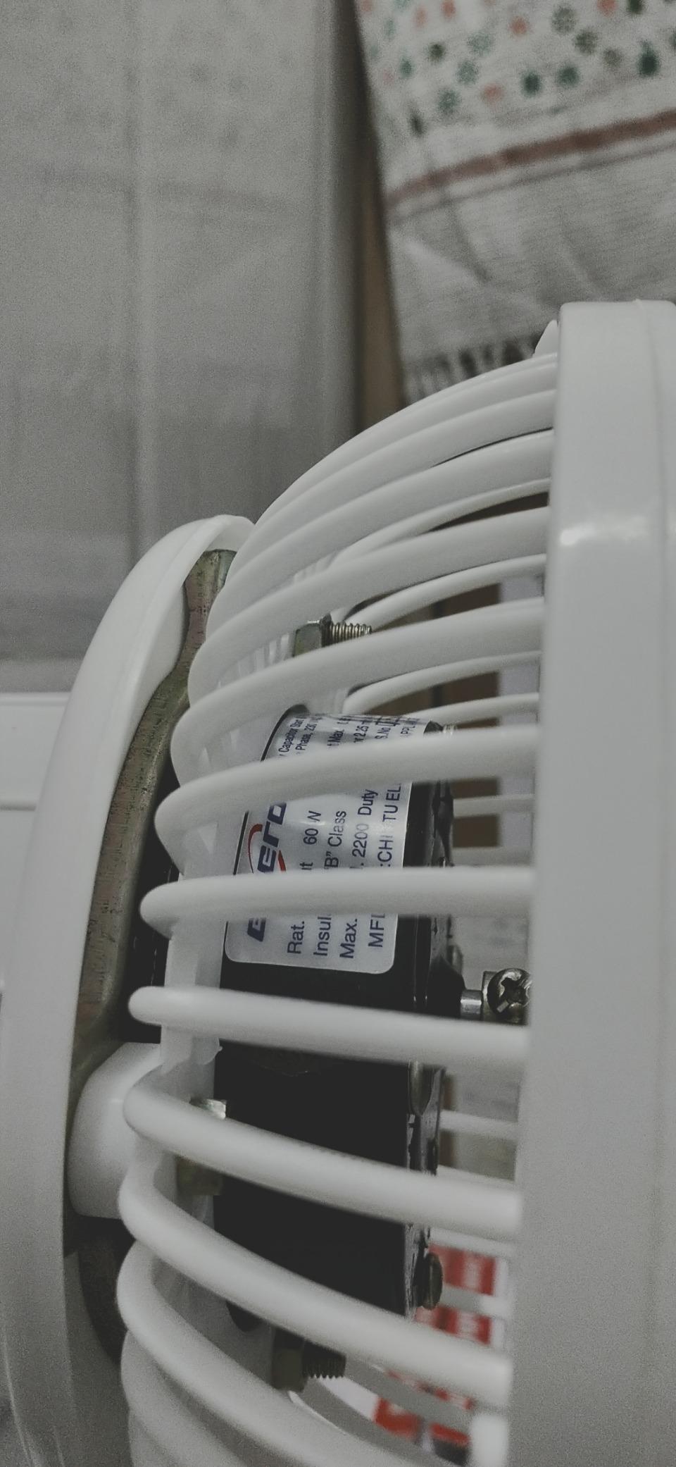 Buy Gyero Fiesta Wall Cum Table Fan (12 inch) white AP Fan 1 year ...