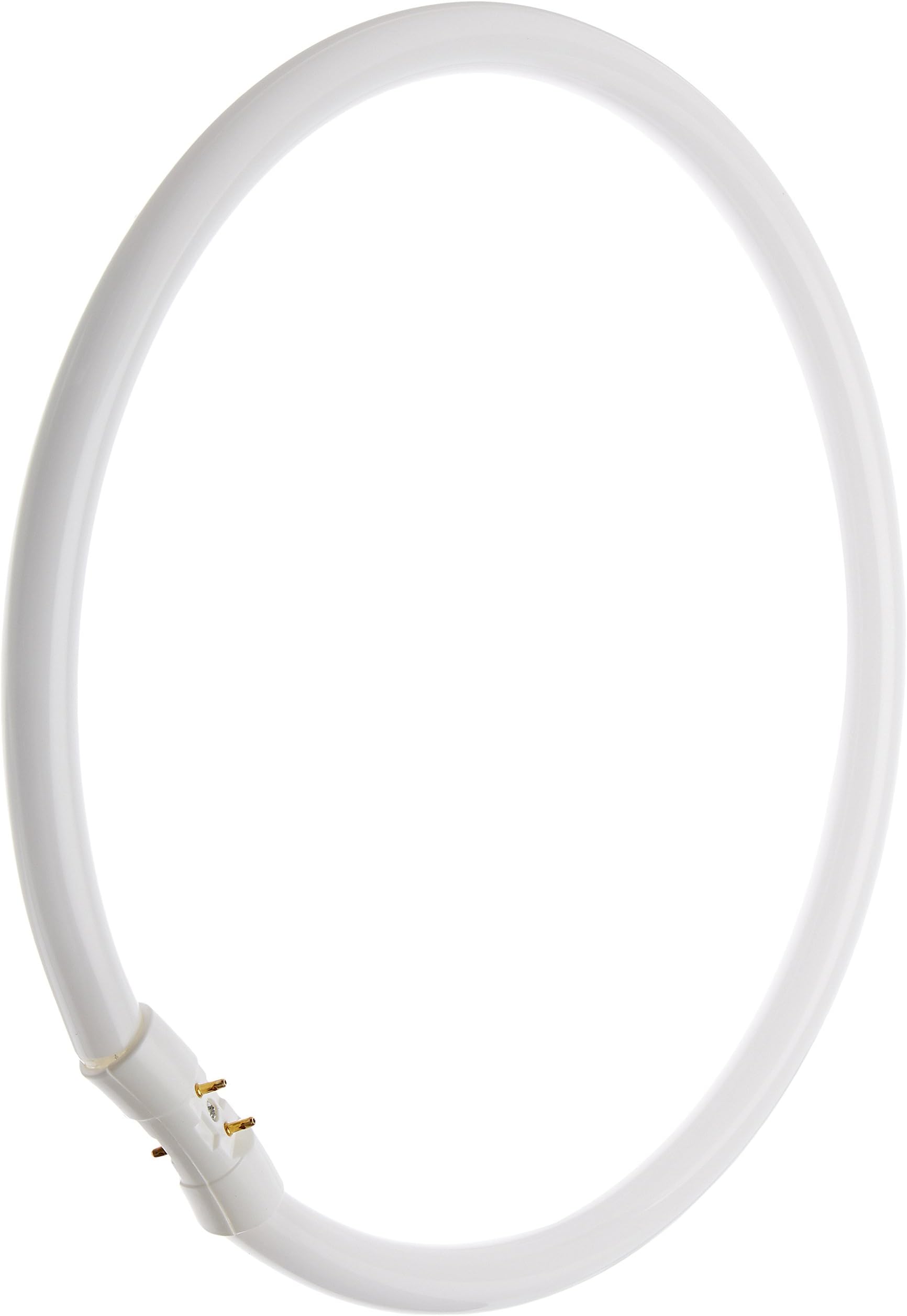 Ciata Lighting FC40T5 835 40-Watt Circline Fluorescent T5 Bulb, 800 ...