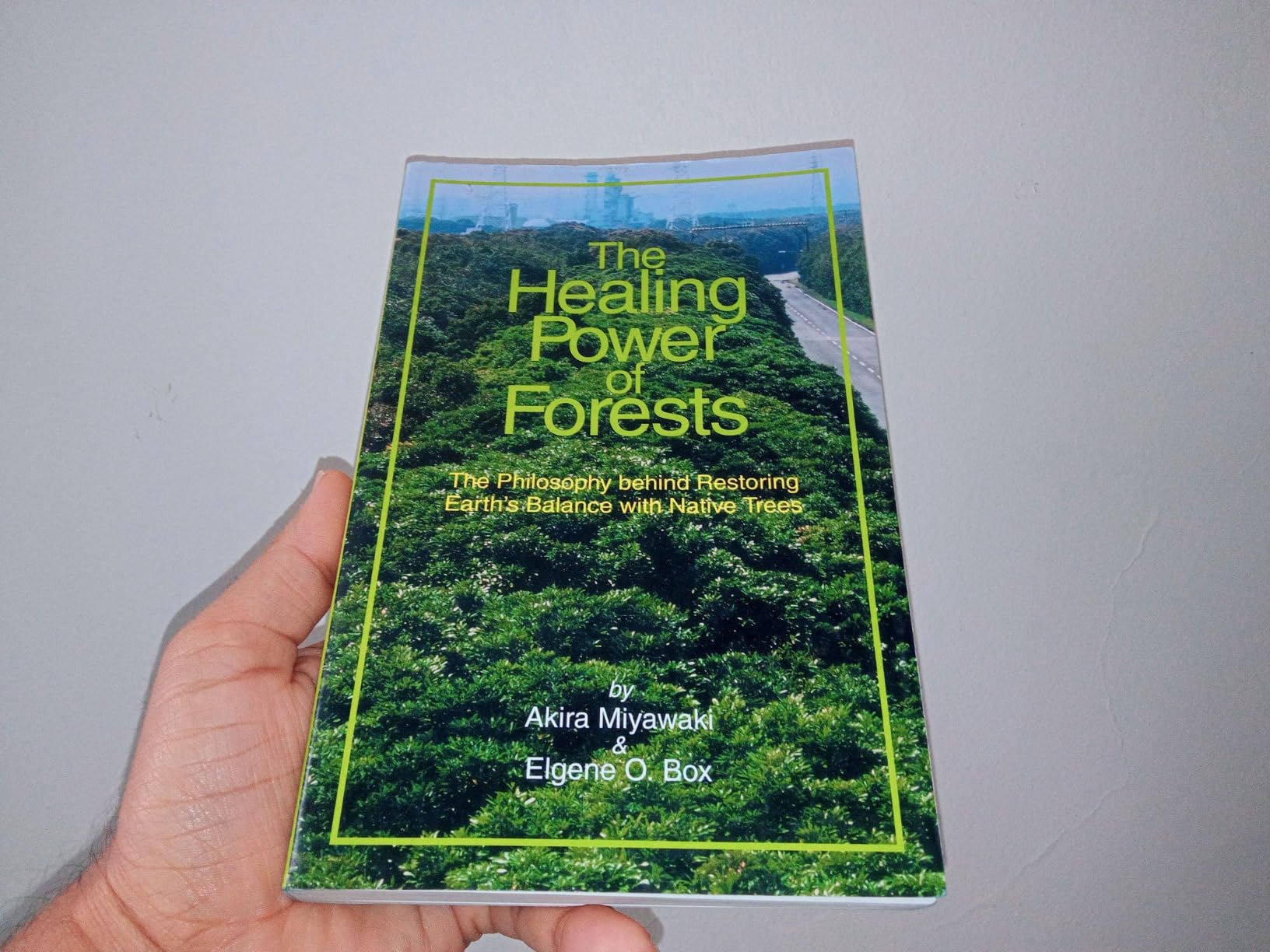 Buy The Healing Power of Forests: The Philosophy Behind Restoring Earth ...