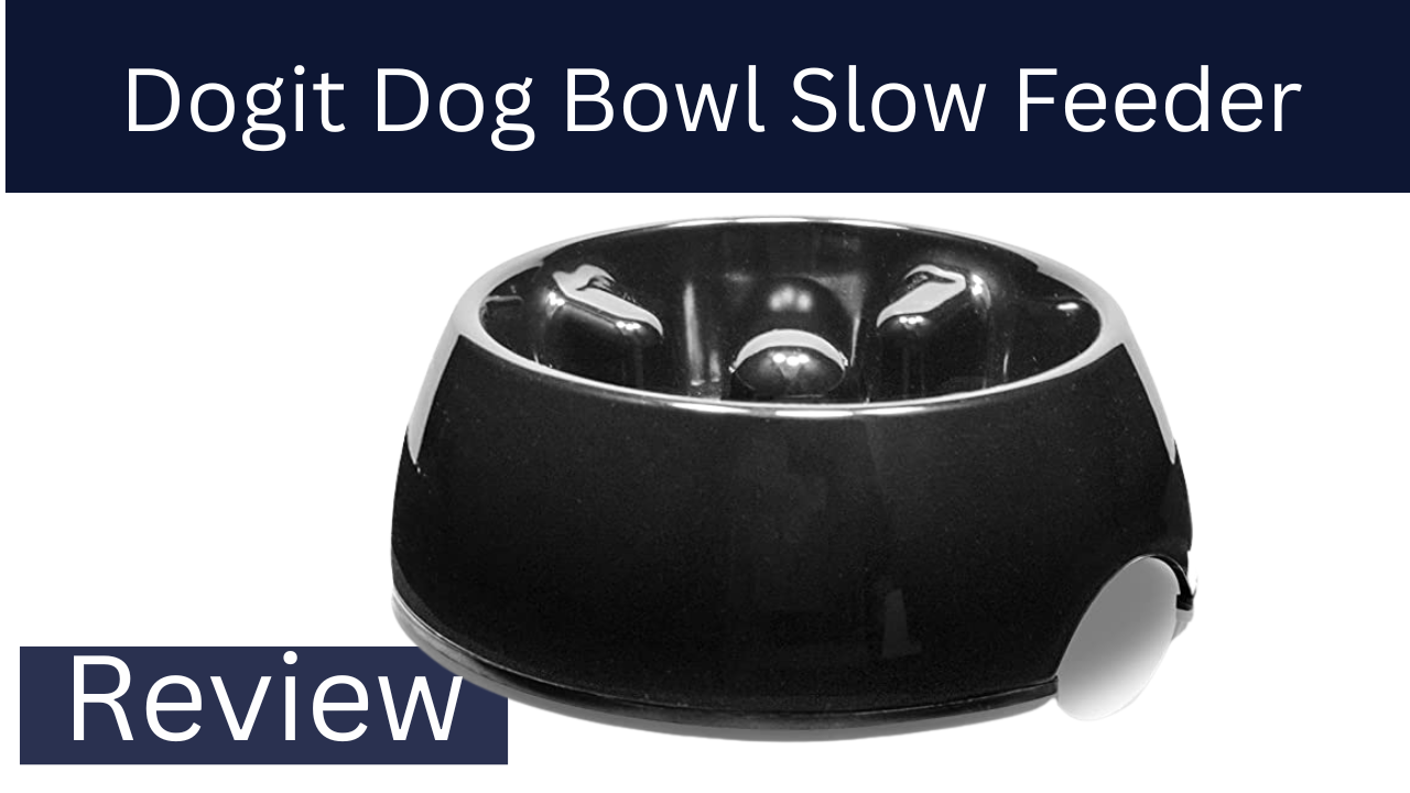 Watch Dogit Dog Bowl Slow Feeder - Go Slow Anti-Gulping Dog Dish on ...