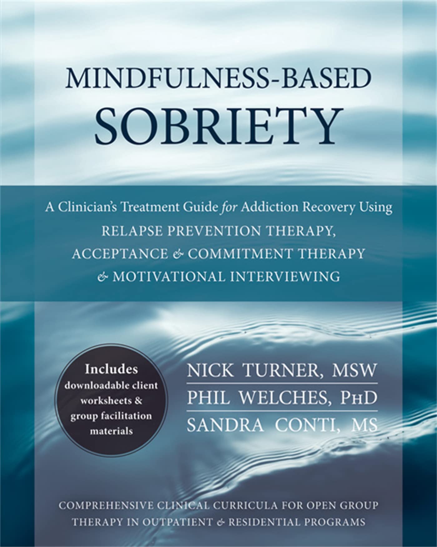 Mindfulness-Based Sobriety: A Clinician's Treatment Guide for Addiction ...
