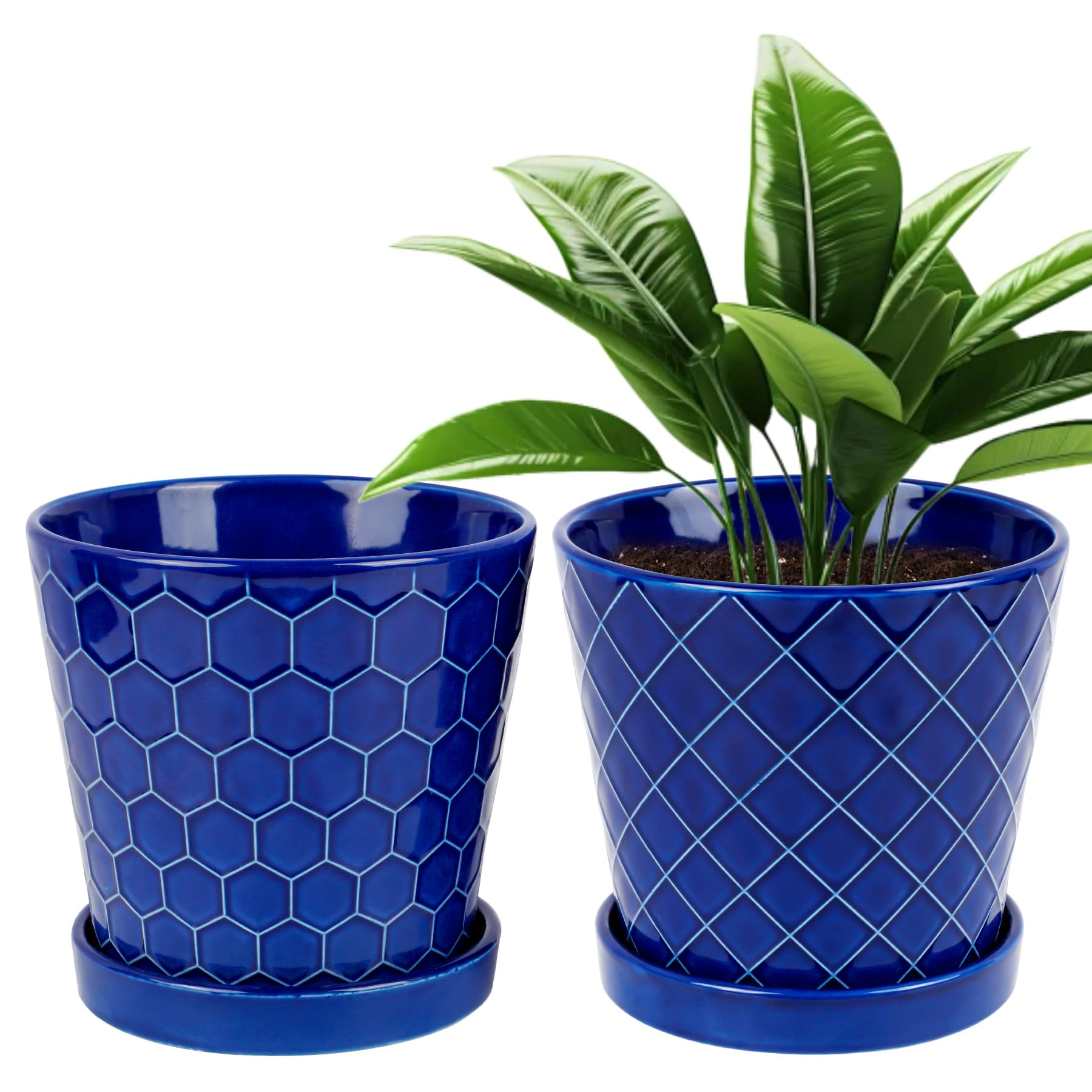 Amazon.com: BUYMAX Plant Pots Indoor –6 inch Ceramic Flower Pot with ...