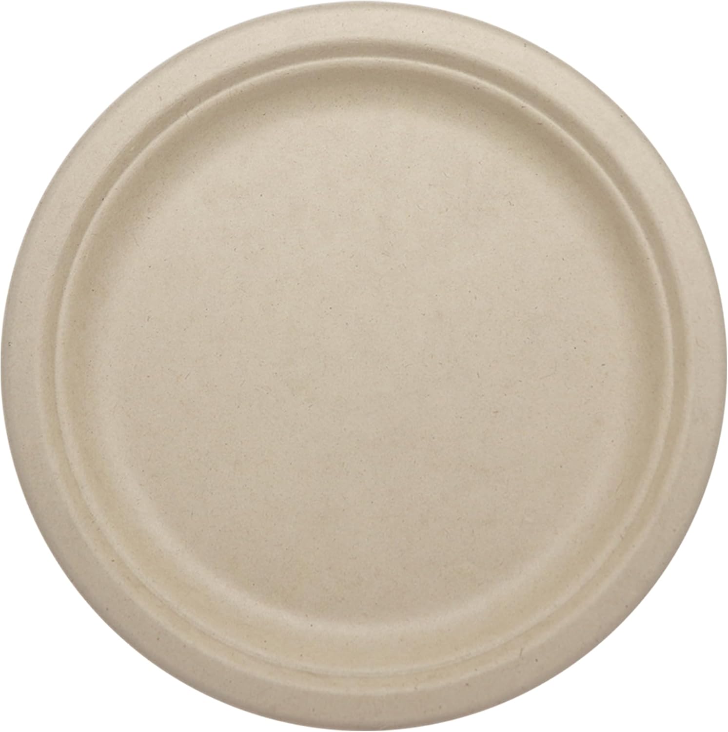 Amazon.com: World Centric Compostable Round Paper Plates, 9" (Pack of ...