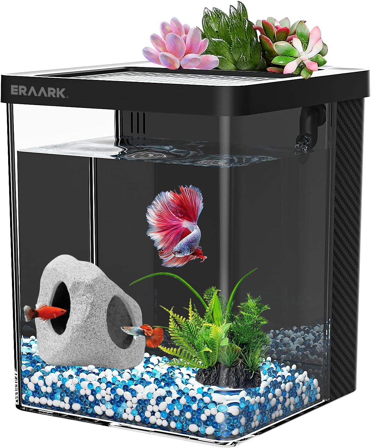 Amazon.com : FREESEA Aquarium Betta Fish Tank: 2 Gallon Glass Small Aquarium Starter Kit for ...