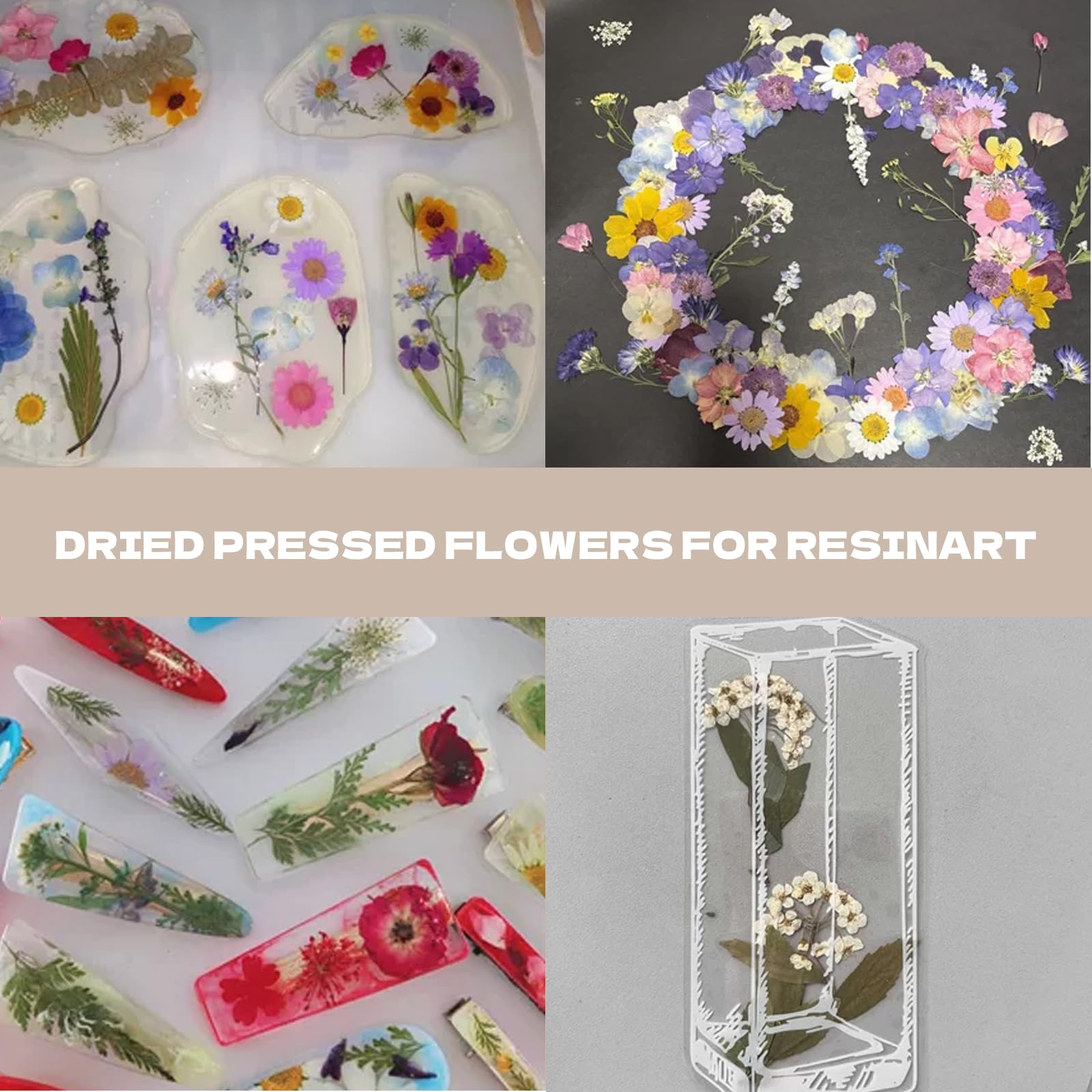 Snapklik.com : Dried Flowers For Resin, 103pcs Natural Flowers And ...