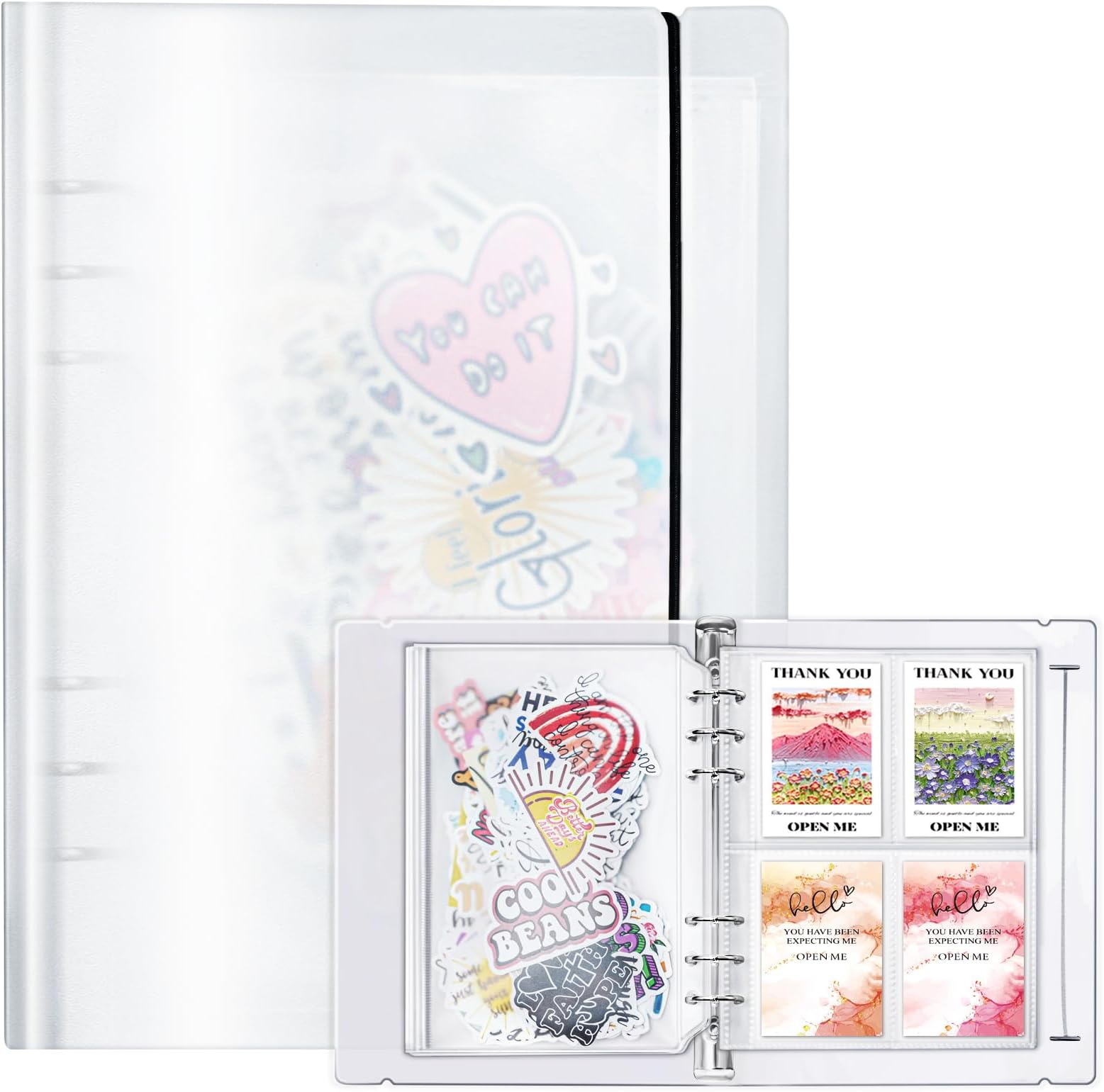 Amazon.com: Disc Bound Sticker Storage and Photo Album with Double ...