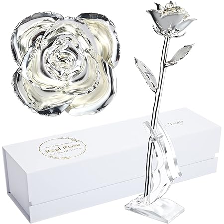 Amazon.com: LovFaith Silver Dipped Real Rose, Best 25th Anniversary ...
