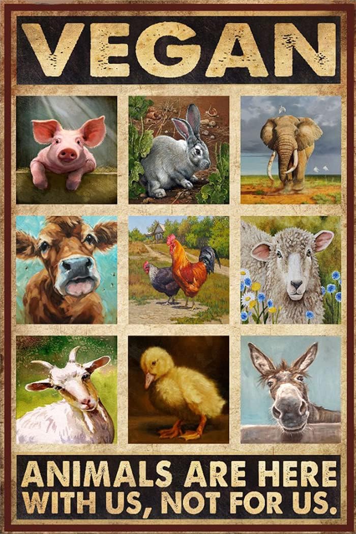 Amazon.com: QARIDO Vintage Metal Tin Sign Vegan Sign Animals are Here ...