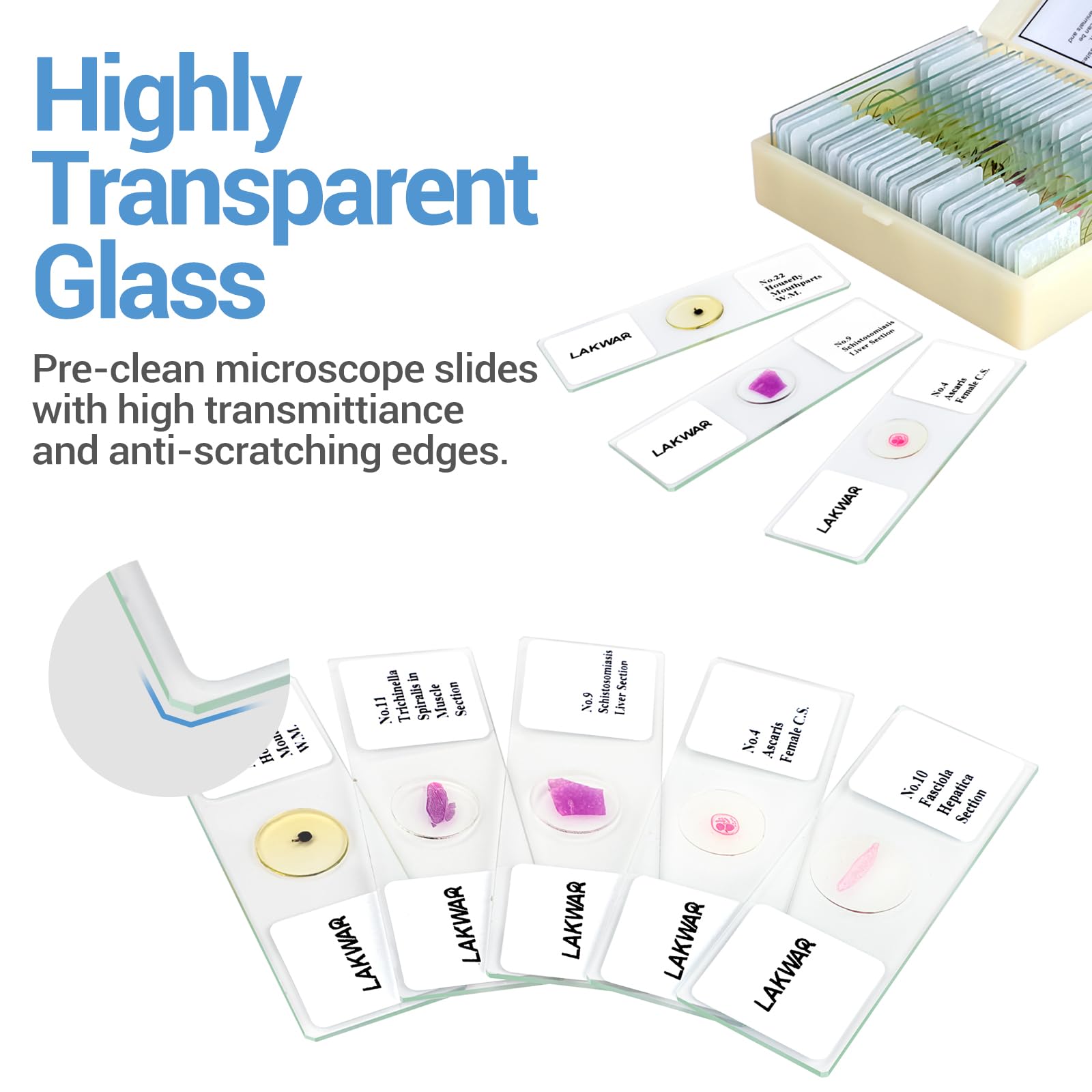 Prepared Microscope Slides For Kids