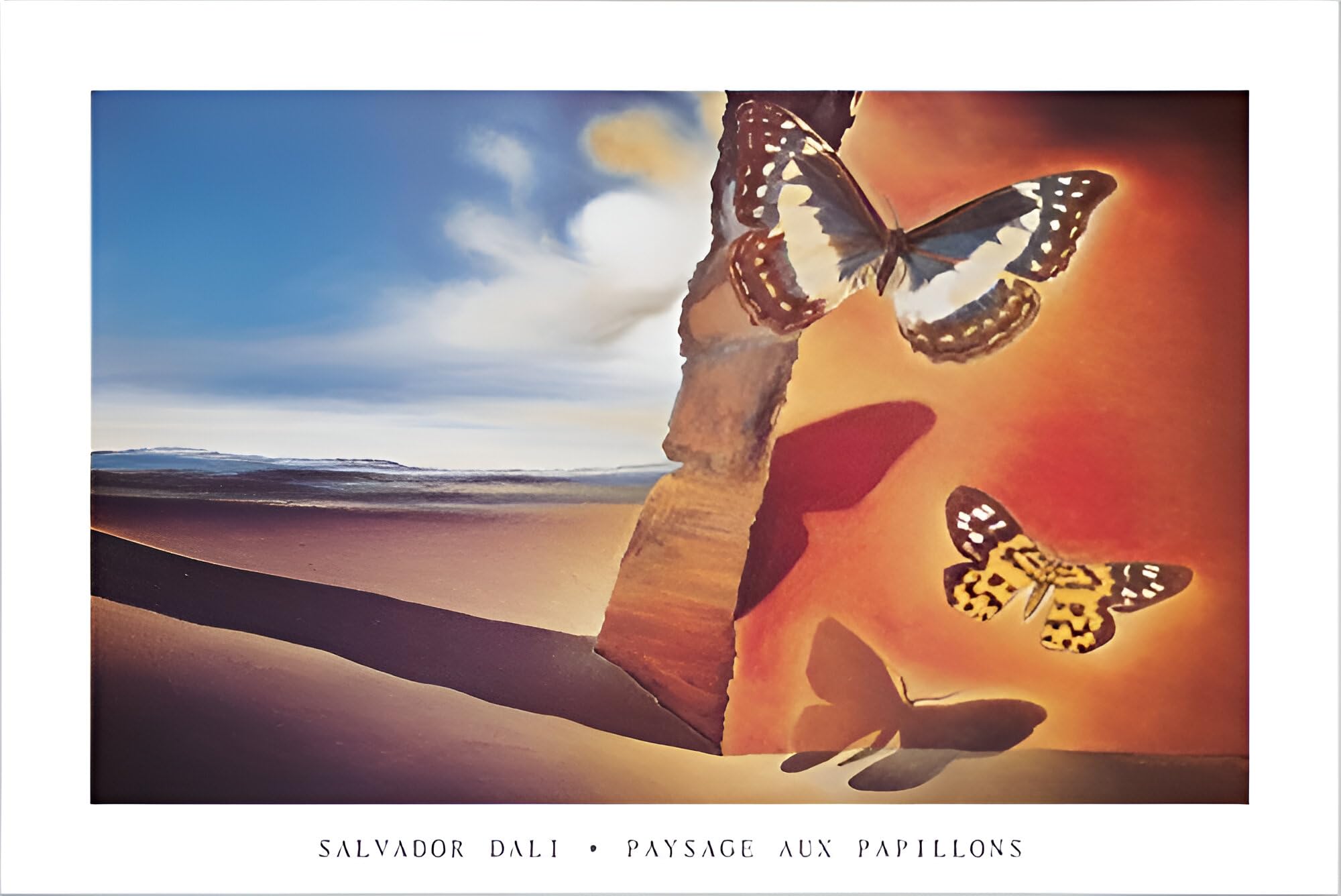 Dali Butterflies